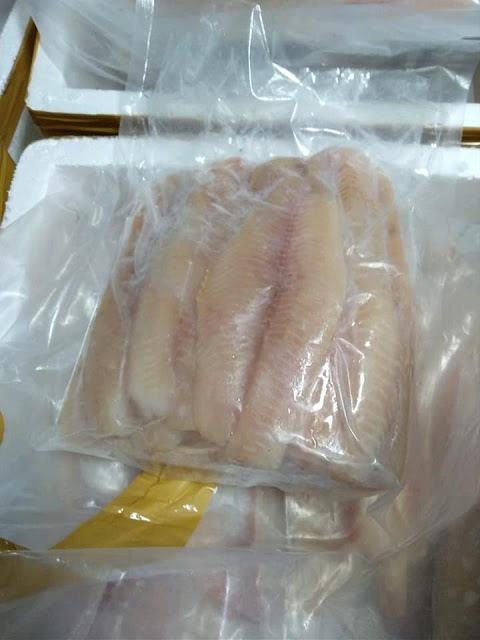 Jual ikan gabus fillet Griya Arka Kendal | Exportir Fillet Snakehead ...