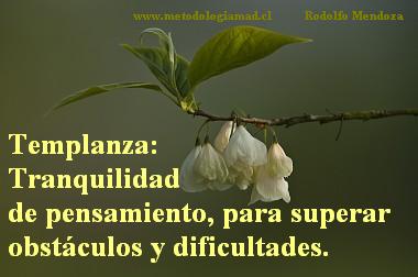 Opiniones de Templanza