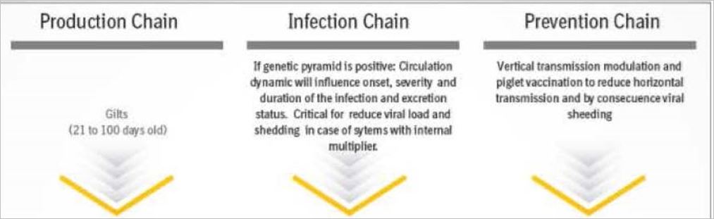 The TTABlog ® : WYHA? TTAB Affirms Refusal of PREVENTION CHAIN for ...