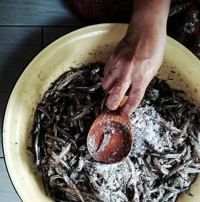 Proses Penghasilan Budu