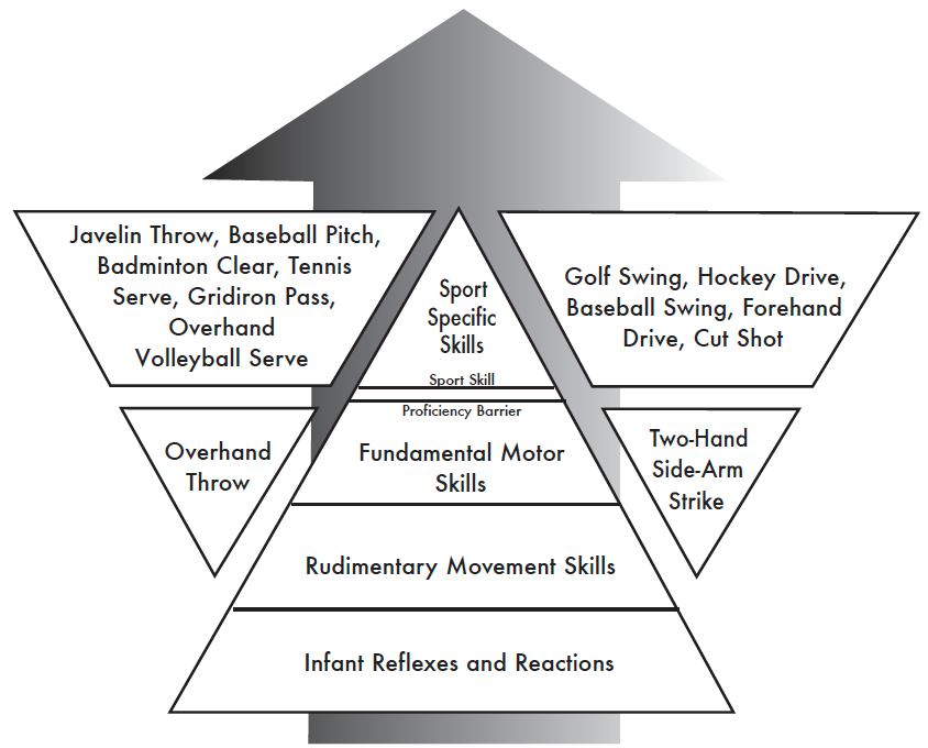 Health Physical Education Fundamental Motor Skills Sport Specific health-physical-education-fundamental-motor-skills-sport-specific