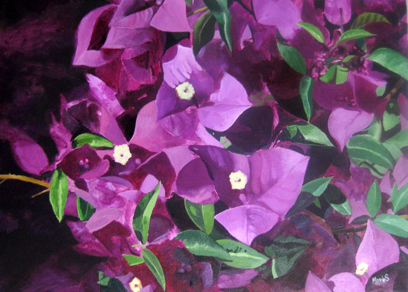 Bitácora: MIS BUGAMBILIAS