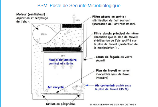 C’est quoi une culture cellulaire? | Bio faculté