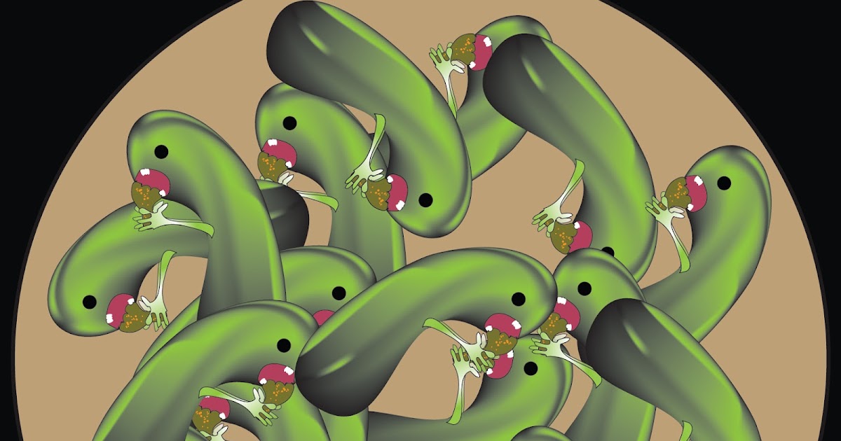 Emerald Biology: Bacteria for the Environment