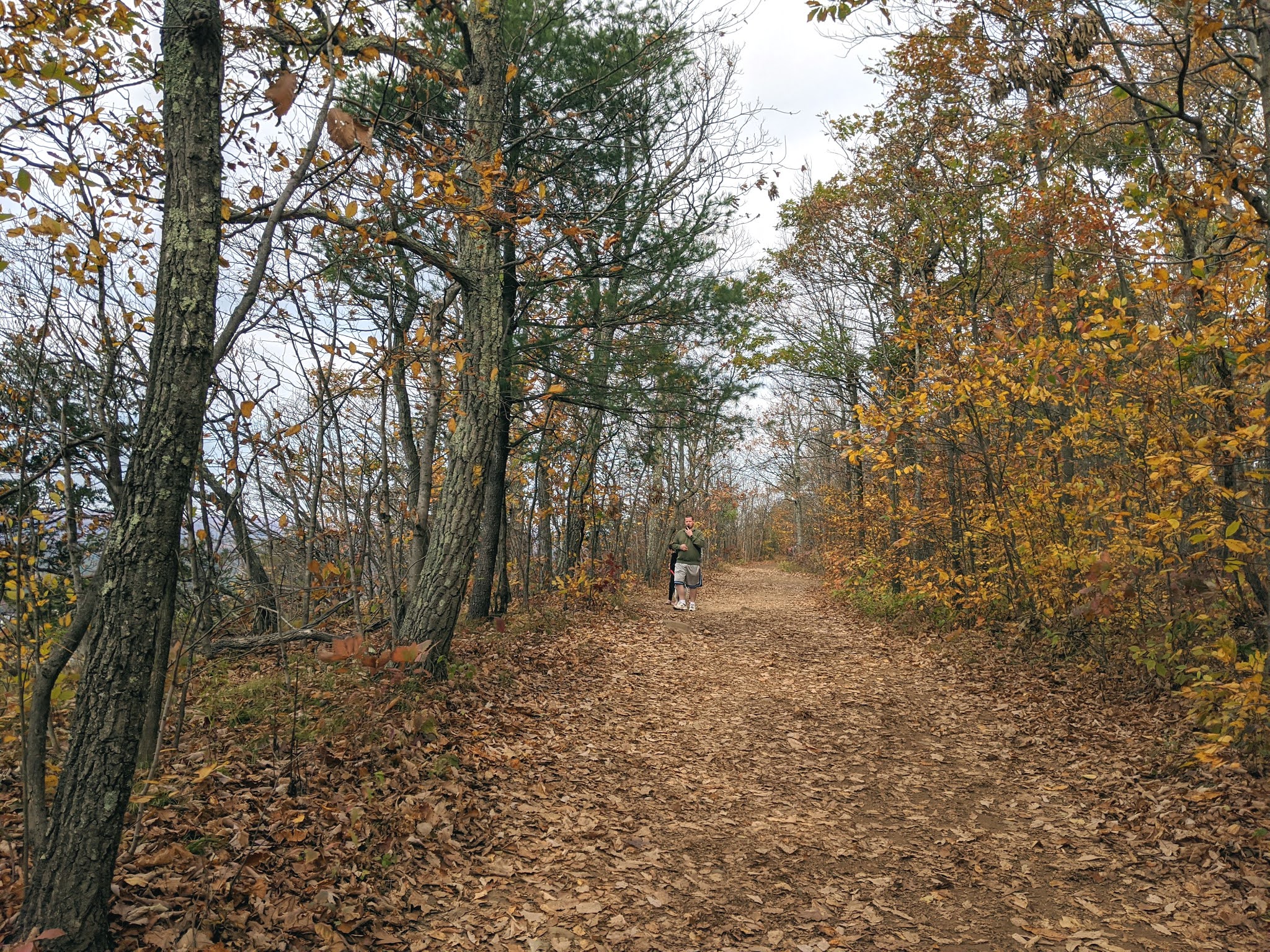 Katie Wanders : Heublein Tower/Talcott Mountain, Simsbury - CT Best Hikes