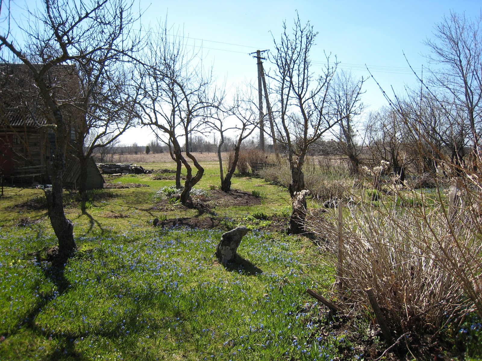3. klassi blogi: Tutvu projekti "Tere, Kevad!" kodulehega