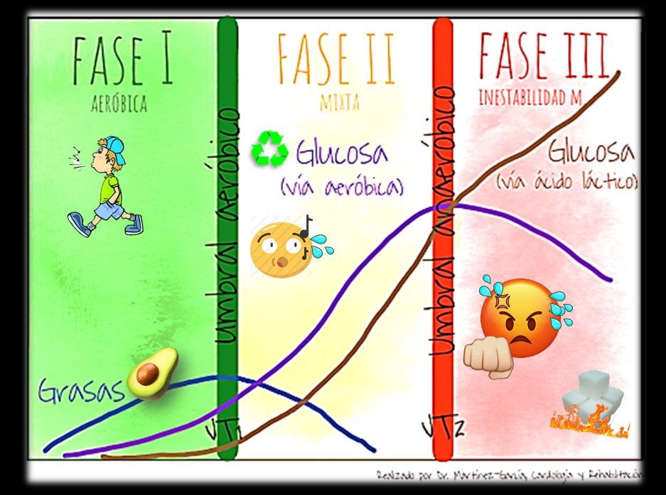 ¿Tienes poco tiempo? Organízate con el MODELO TRIFÁSICO.