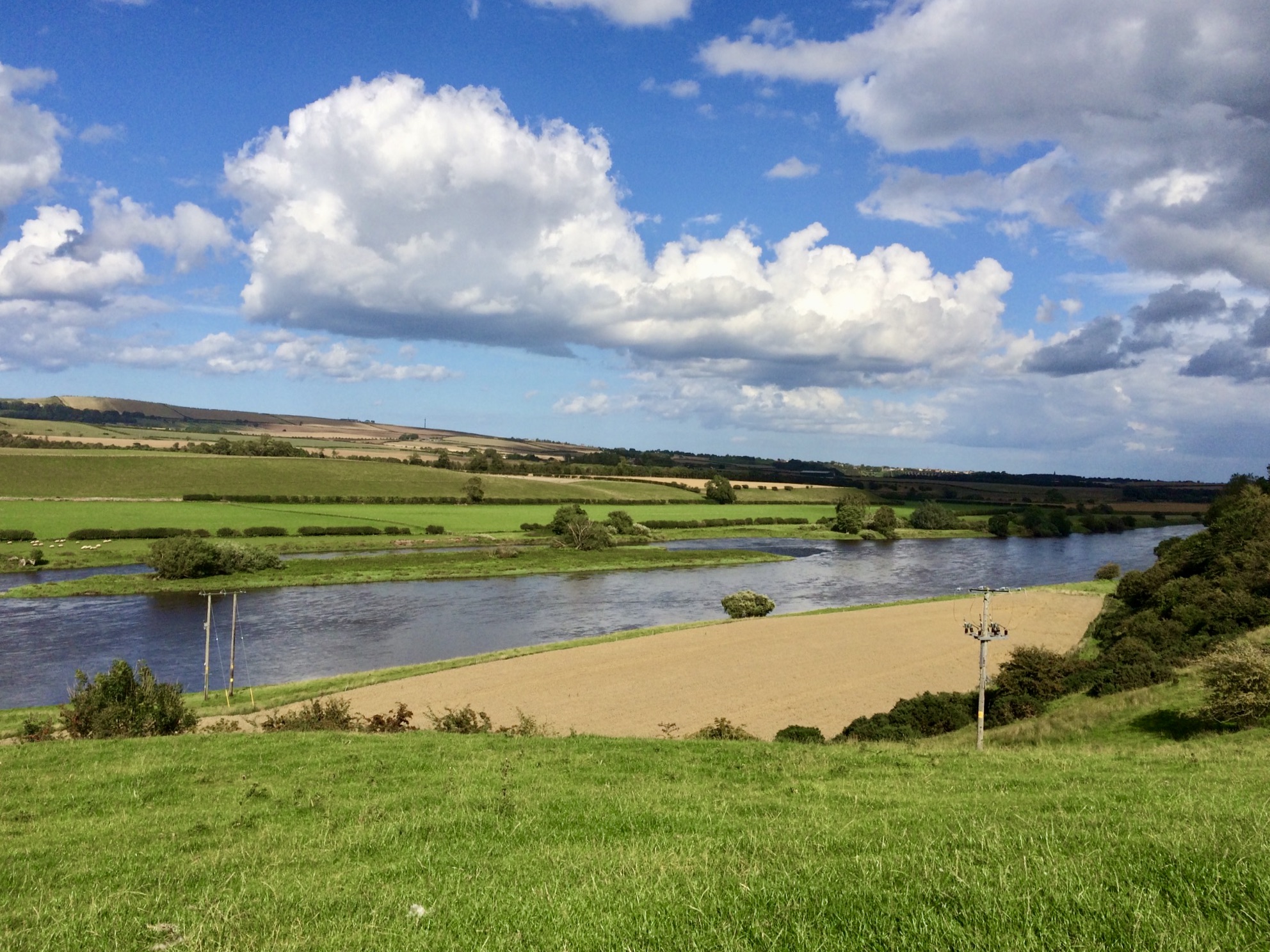 Days out in the Borders : River Tweed At West Ord