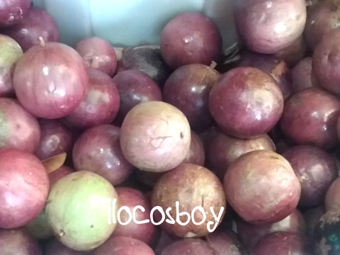 Ilocos: Common Summer Fruits In Ilocos
