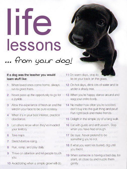 Miss weather: Life Lessons from your dog ! :)