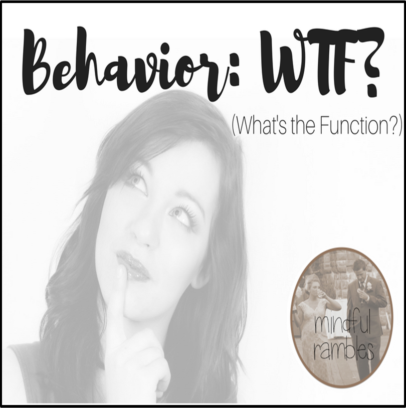 Behavior What s The Function behavior-what-s-the-function