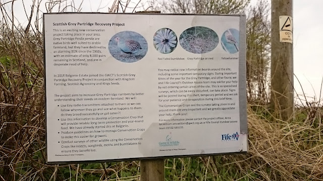 Leo du Feu - Landscape, Art, Nature, Birds: Scotland by Rail - Markinch ...