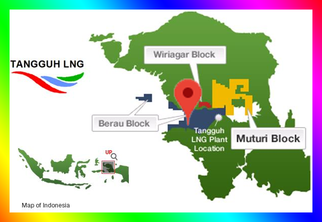 POD Lapangan Ubadari dan Vorwata EGR di Papua Barat Disetujui SKK Migas ...