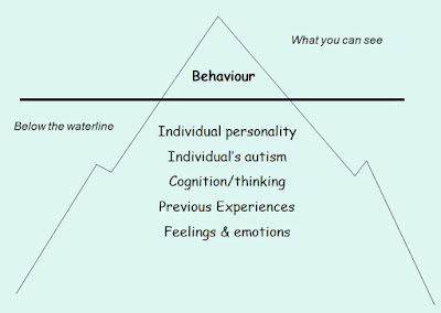 Post #33 Behaviour (1) The Tip of the Iceberg
