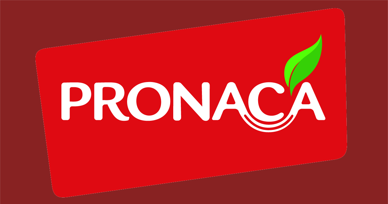 Pronaca_CPineda : MIsion y Vision