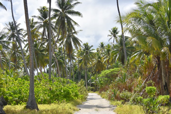 World Adventures: Tales of the South Pacific, Day 20, Tabuaeran ...