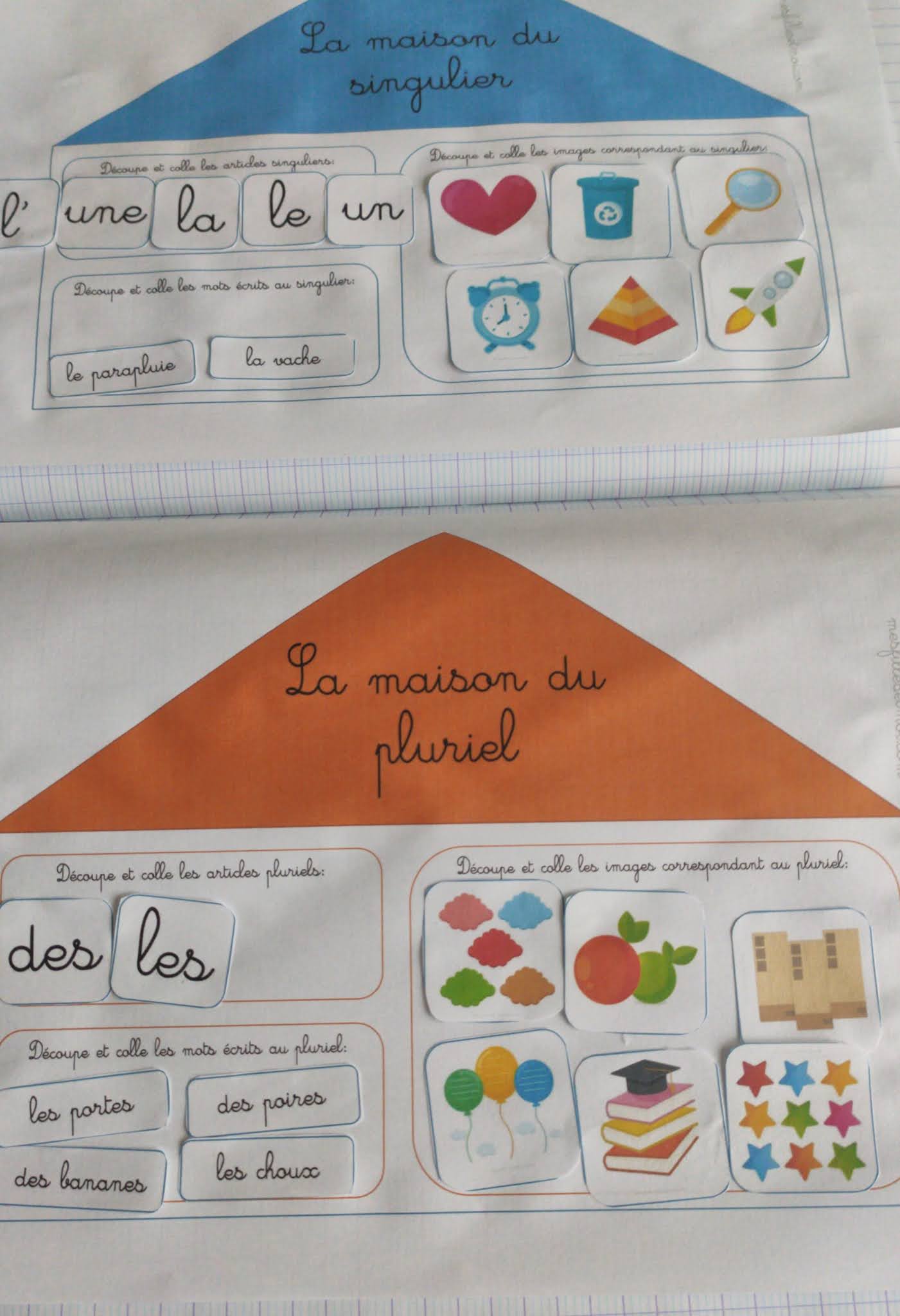 Grammaire en maternelle-CP : féminin-masculin et singulier-pluriel