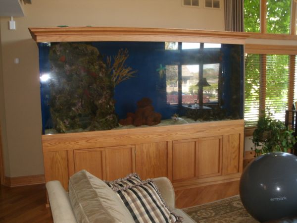 Giant Aquariums: 770 gallon Fish Tank - $8500 (Palos Heights)