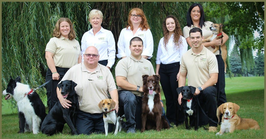 Canine Inspection: CDIS