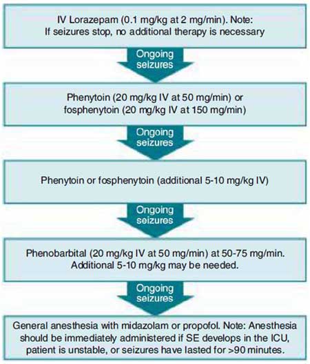 Status Epilepticus Case File
