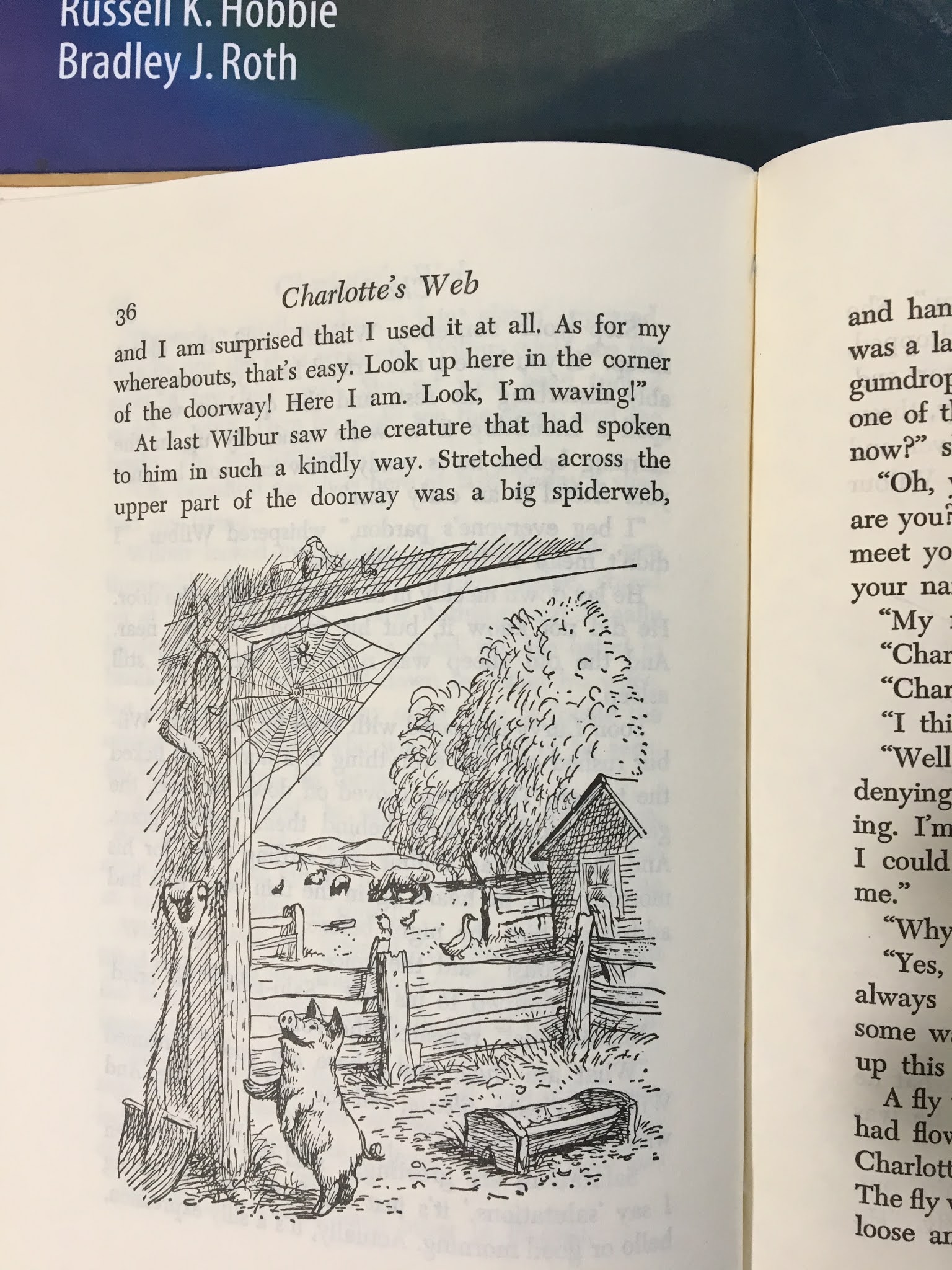 Intermediate Physics for Medicine and Biology: Charlotte's Web