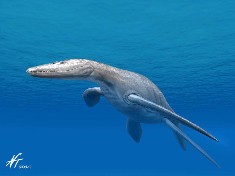 Mundo Pré-Histórico: Plesiossauros (Plesiosauria)