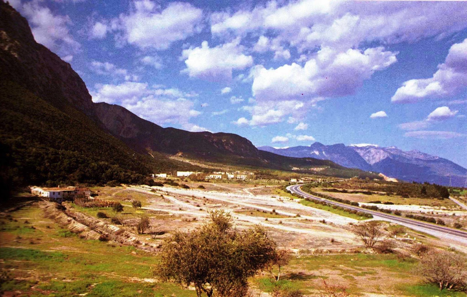 The Cutting: What Really Happened At Thermopylae?