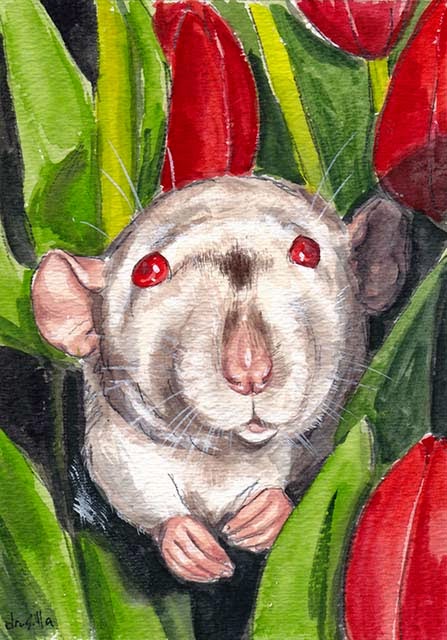 The Art of The Illustrated Rat: Angel