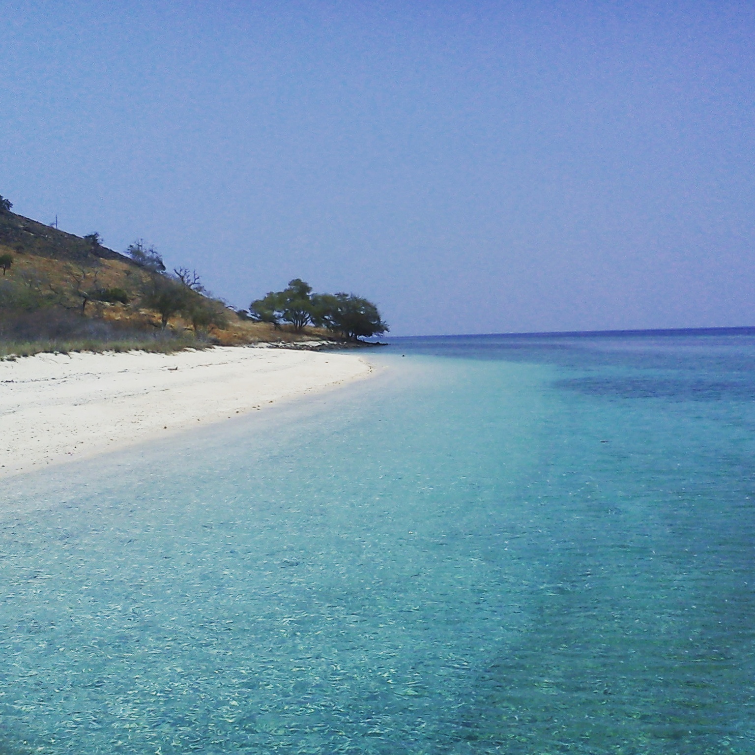 SAIL KOMODO AND MUCH MORE: SNORKLING TOUR KE PULAU SERAYA KECIL DAN ...