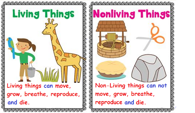 Easy Peasy Teaching 1st grade: Living and non-living things.