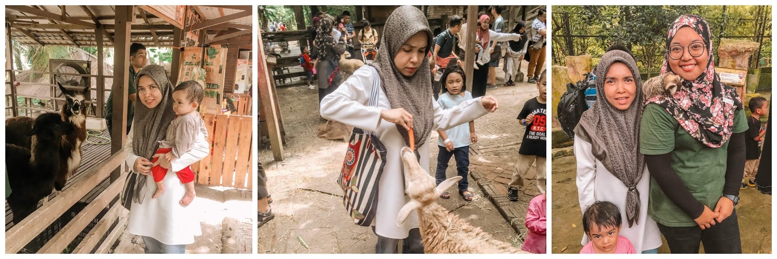 Bawa Anak Tengok Haiwan di Farm In The City