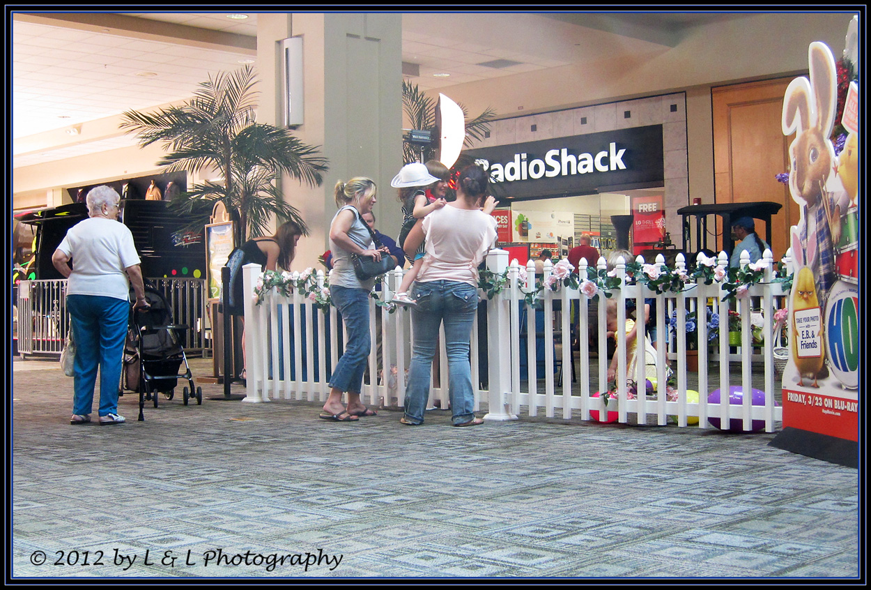 Ocala, Central Florida & Beyond: The Easter Bunny at the Paddock Mall