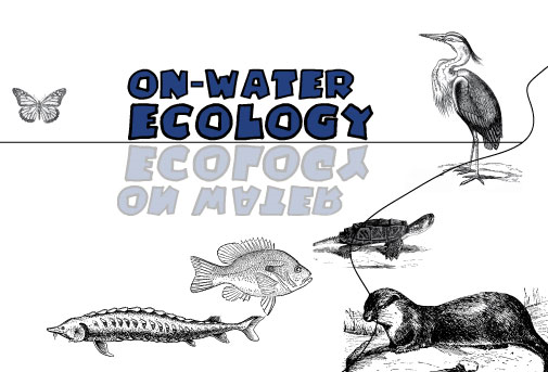 Make the Aquatic Ecology - EducatioN