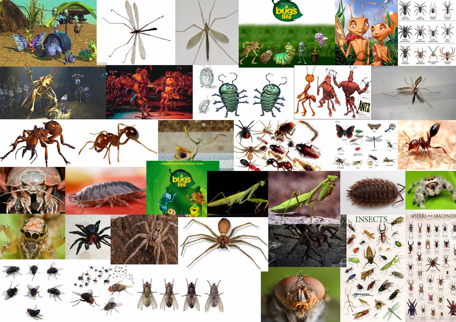 Craig Lang's Art (CGA): Visual designs: Insectoid