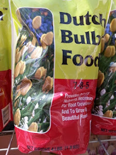 The Flower Bin: Plant these bulbs for early Spring color