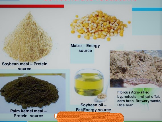 Now Is The Time For You To Know The Truth About Concentrate And ...