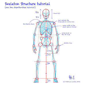 Fabrizio Lorito: Step-by-step tutorial - Skeleton structure, front