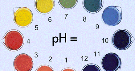Belajar pH dalam 10 Menit!