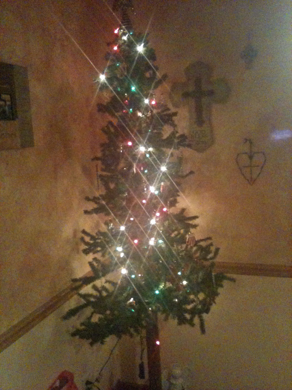 Little WORTH-while moments: The Giving Tree- Our tradition