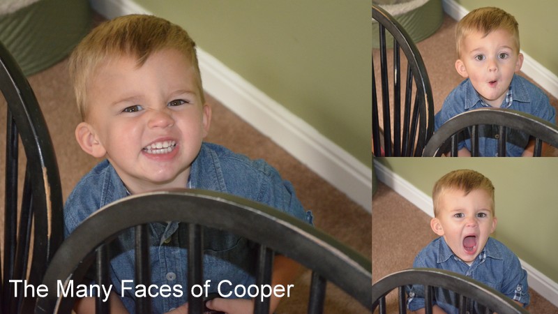 Harline Happenings: Cooper's 2 Year Check-Up & 6 months later