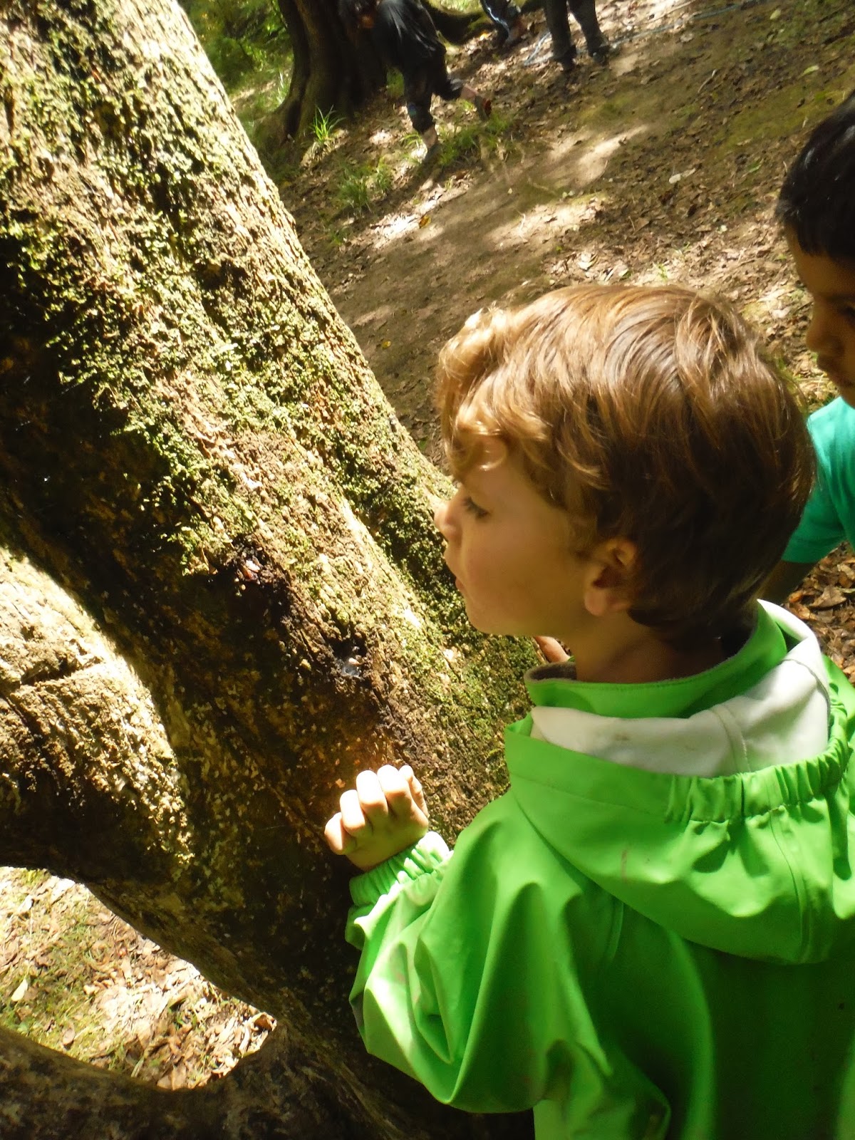 Mairtown Kindergarten: Our first Nature Programme for the year