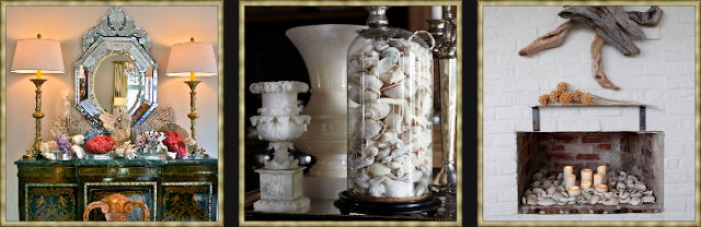 Eye For Design: Great Ways To Display Your Seashell Collection