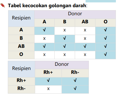 Wety Yuningsih: Penggolongan Darah pada Bab Sirkulasi Darah (Sistem ...