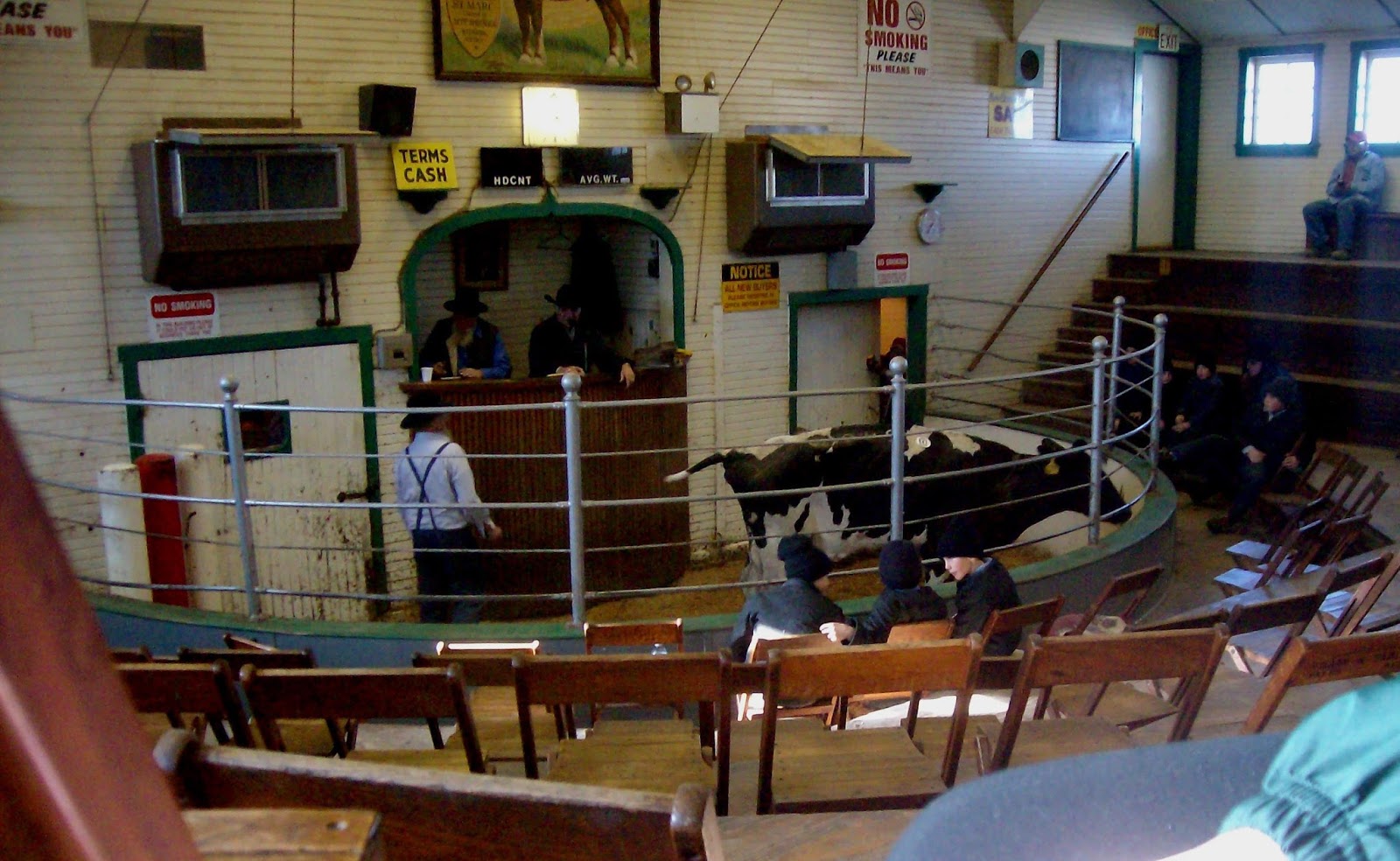 As The World Turns by Carey: 2017