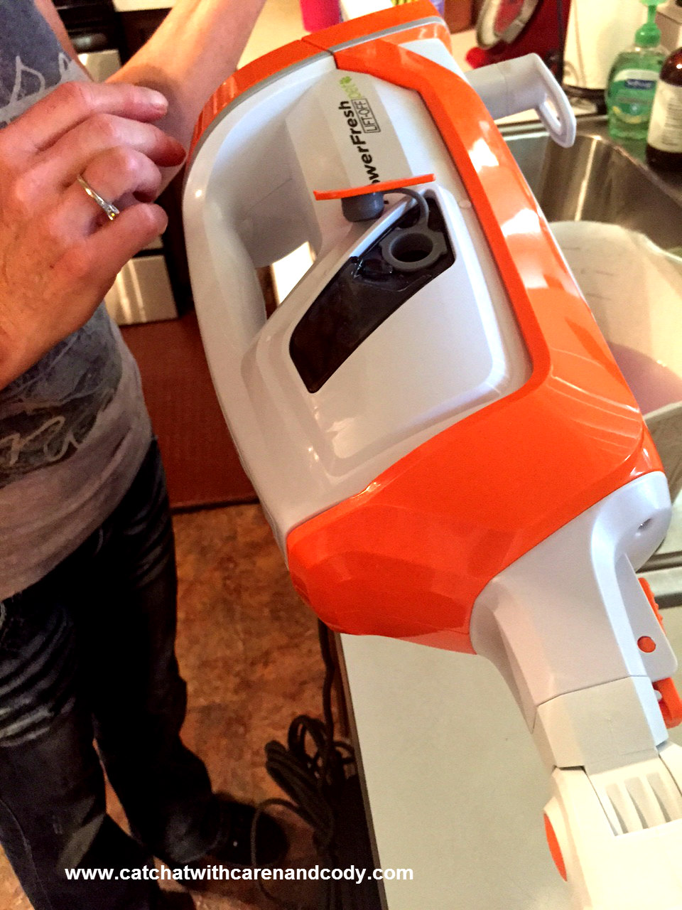 Cat and DOG Chat With Caren: Mrs. Claus Would LOVE a BISSELL PowerFresh ...