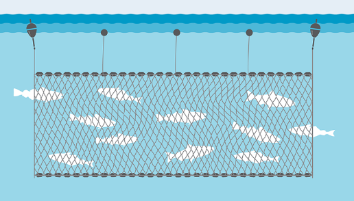 Harga Jaring Gillnet Millenium - PENYULUH