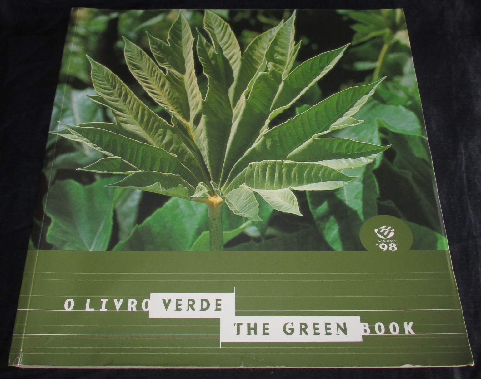 Livraria Alfarrabista Eu Ando A Ler: #O Livro Verde The Green Book Expo 98
