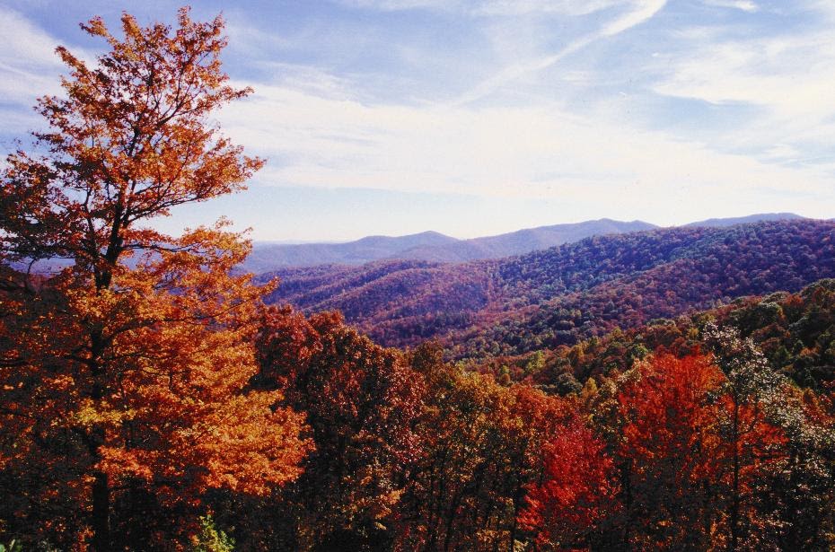 Voices from Appalachia: Fall: The Best Season in Appalachia