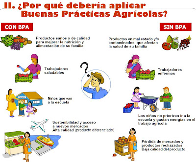 LA LIBERTAD EXPORTA: BUENAS PRACTICAS AGRÍCOLAS (BPA)