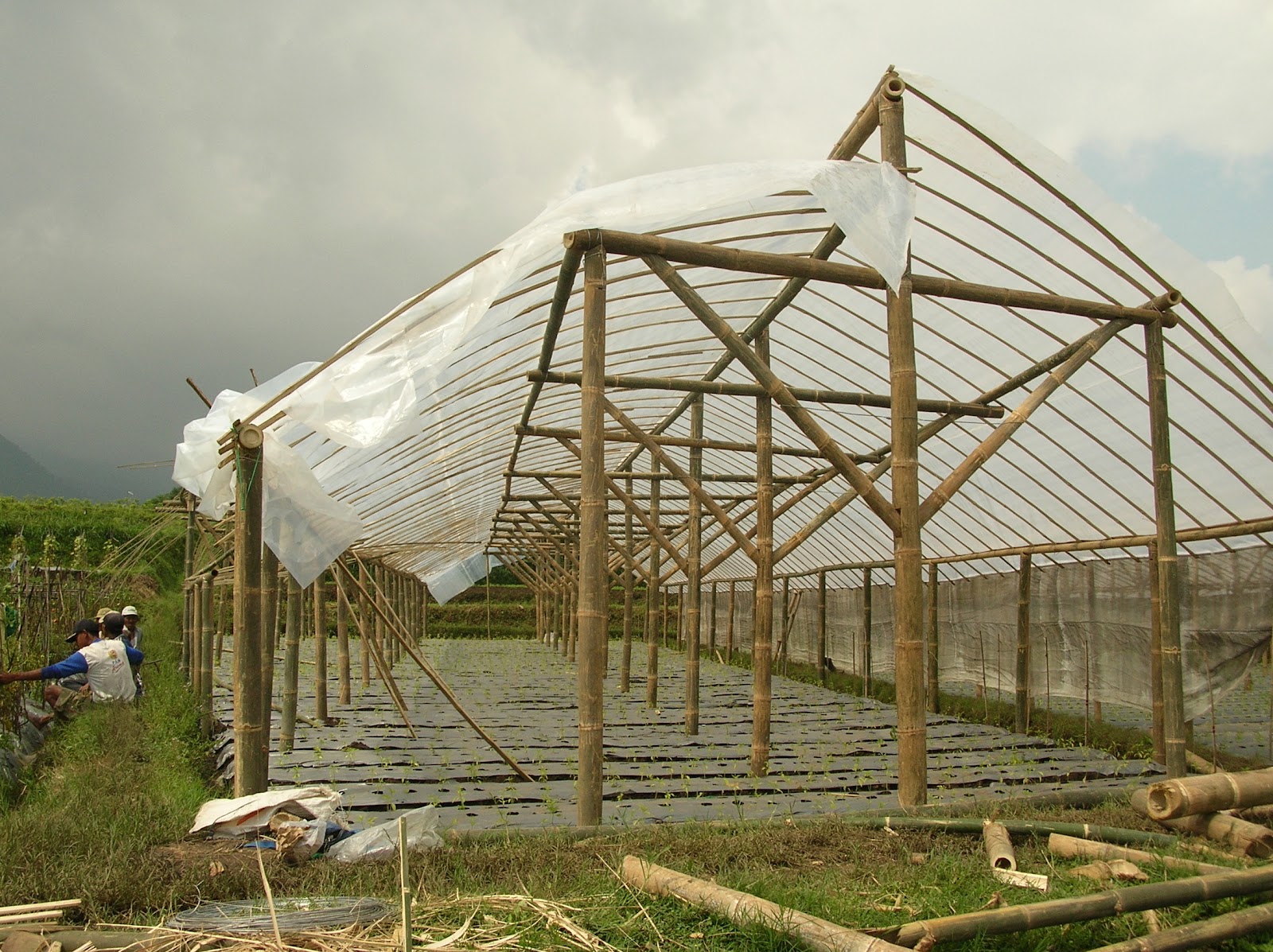 Cara Mendesain Green House Rumah Kaca, Hidroponik Sederhana - GlimteHome